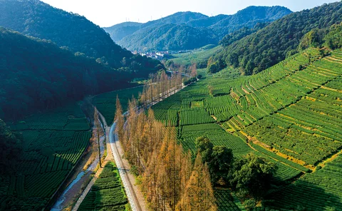 The IFF China Report 2021 - Central Banking