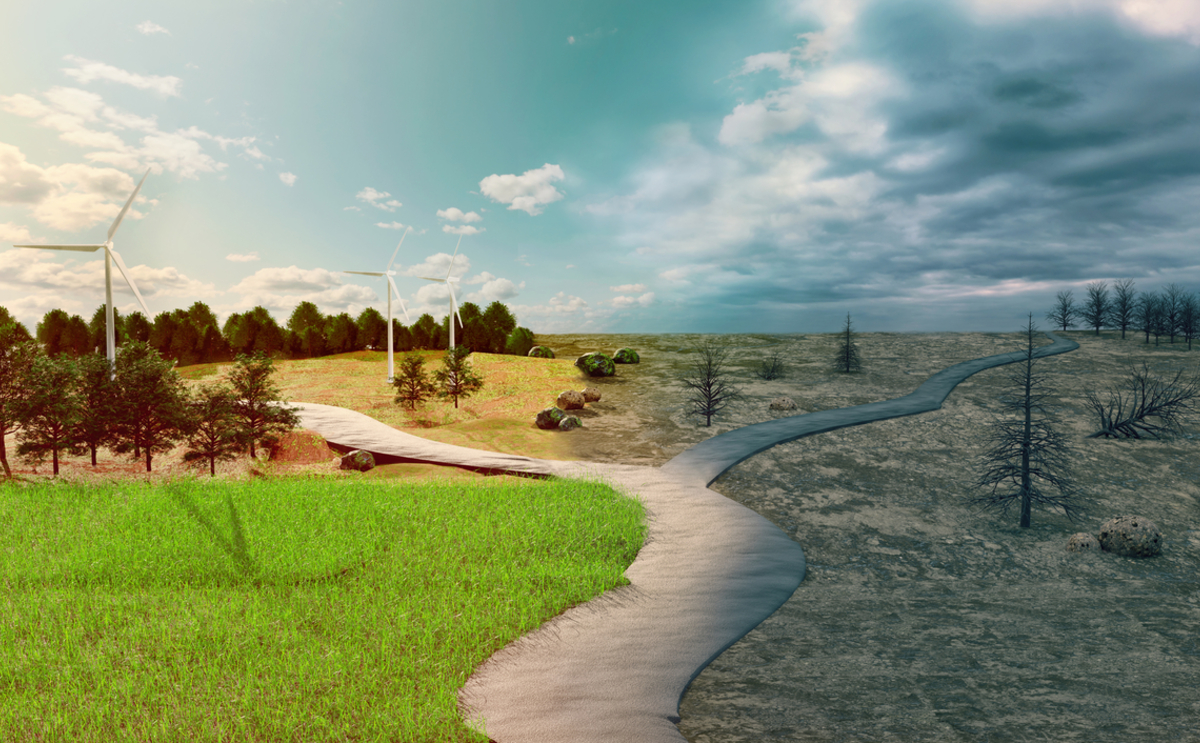 Earth to Jackson Hole: create sustainable future bonds for stability ...